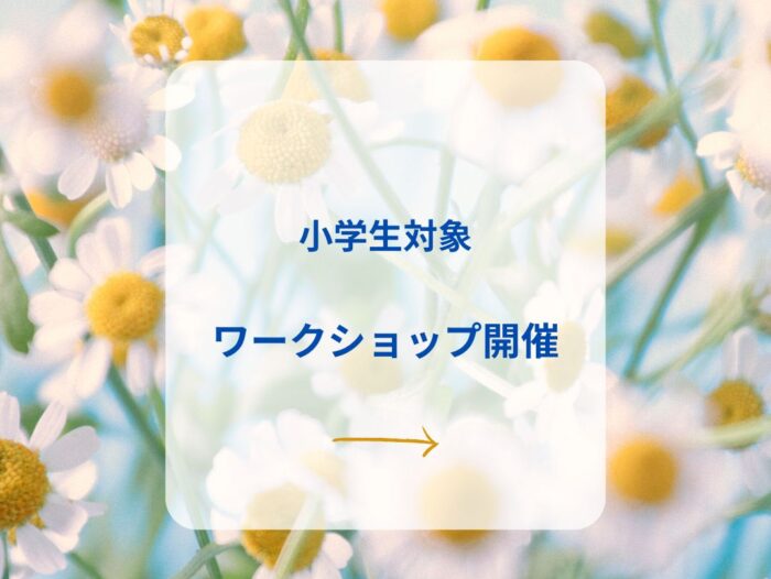 M・CHERIMO （エムシェリモ）TOP ページ